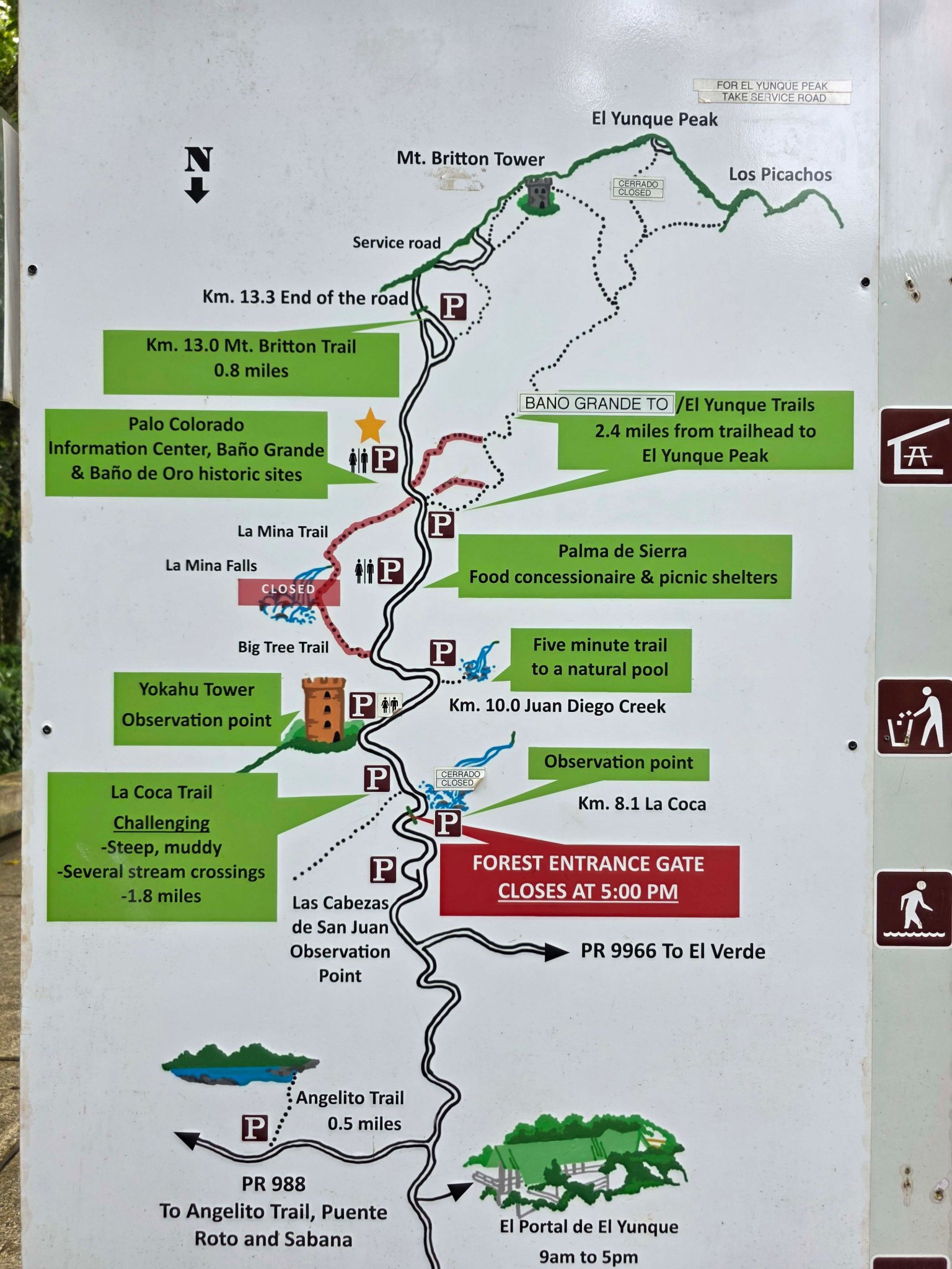 El Yunque National Forest, Puerto Rico – The Wandering Medievalist