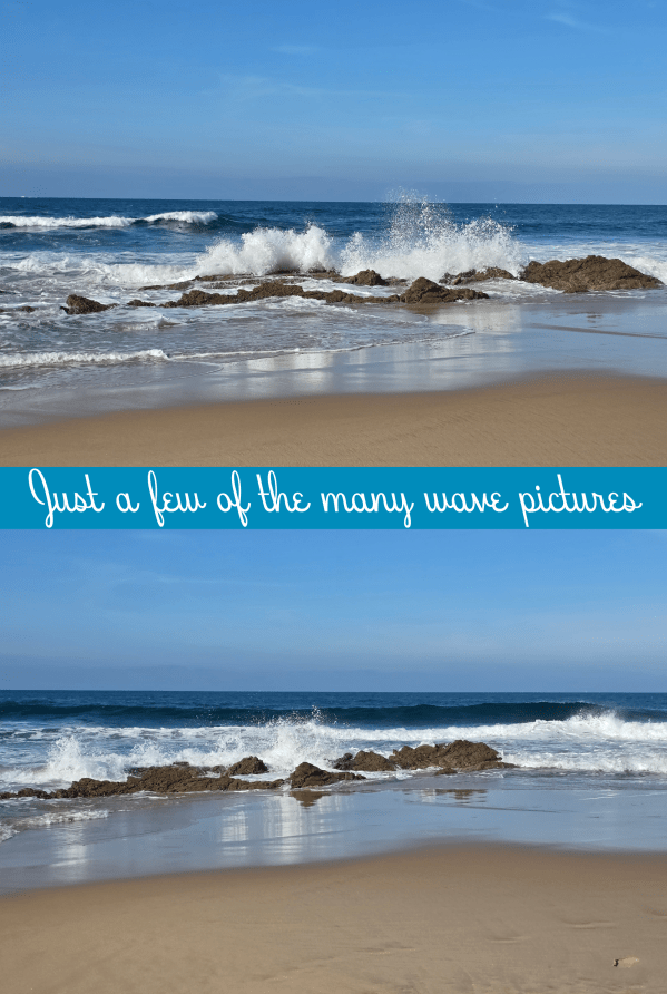 Crystal Cove, California coastal walk – The Wandering Medievalist