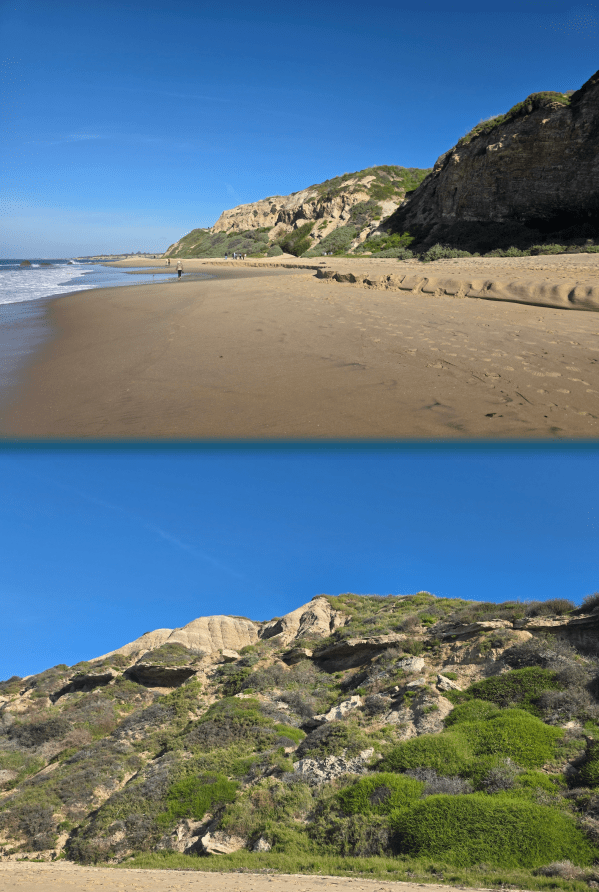 Crystal Cove, California coastal walk – The Wandering Medievalist